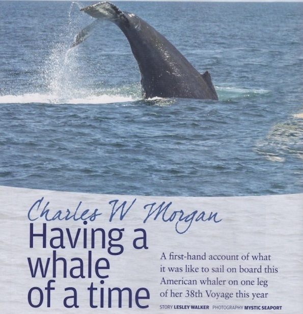 Lesley Walker: Having a Whale of a Time - 38th VoyageMystic Seaport